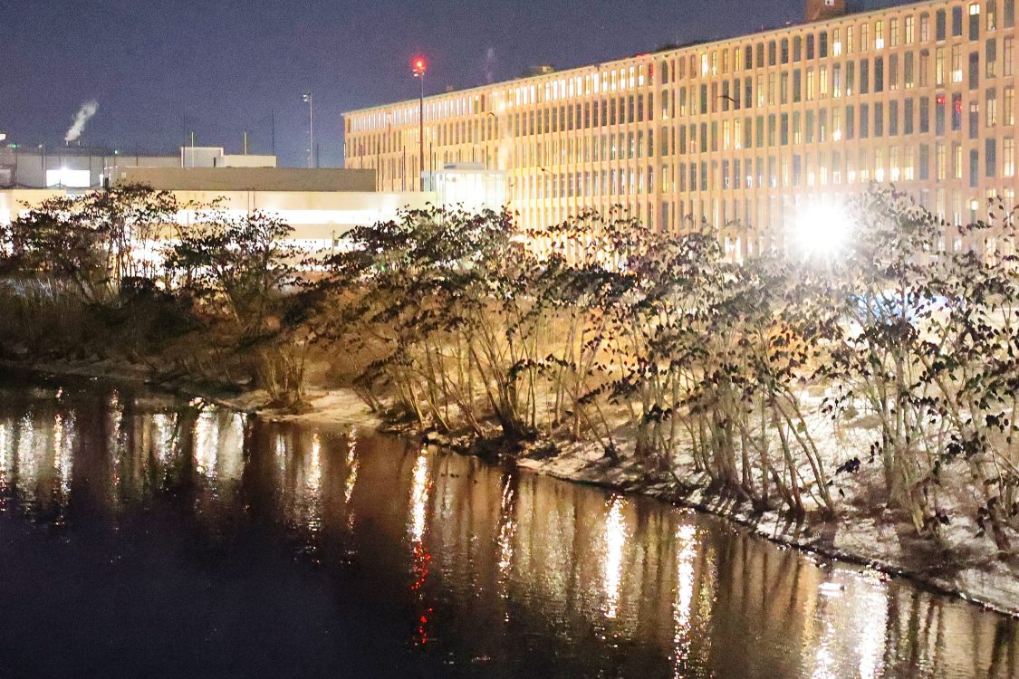 Winter Crow Roost: after dark with infrared! - Winter Crow Roost