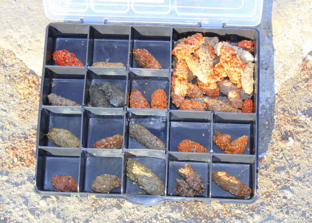 Crow Pellet Anaysis - Winter Crow Roost