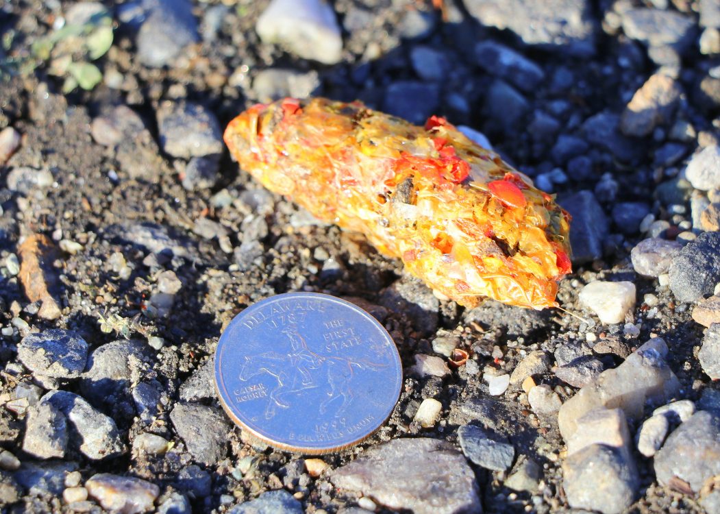 Winter Crow Roost: pellets! - Winter Crow Roost