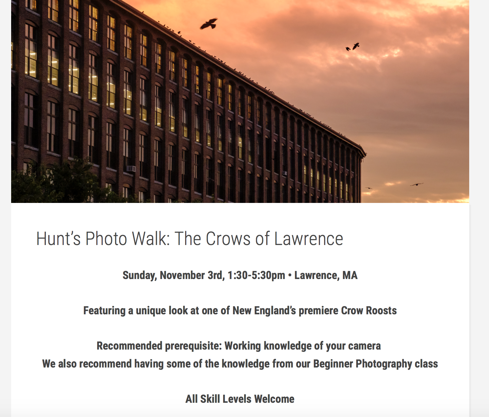 Hunt's Photo Walk: Lawrence Crow Roost! - Winter Crow Roost