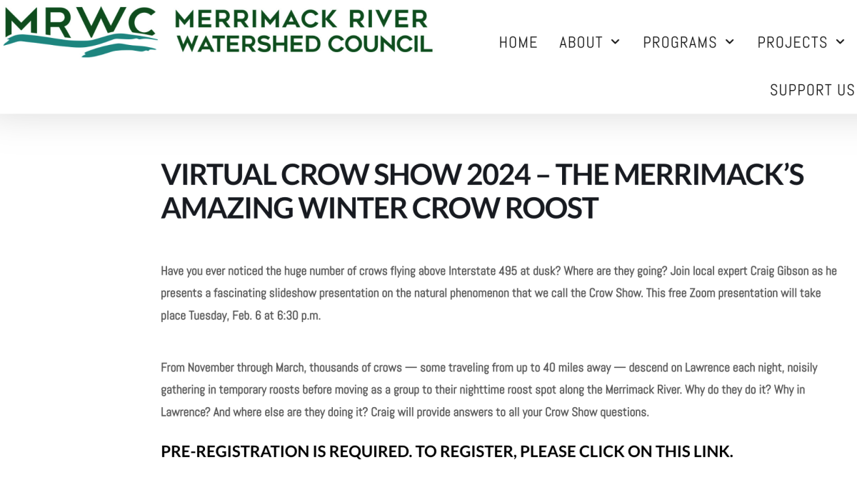 Crow Roost Webinar: Merrimack River Watershed Council - Winter Crow Roost