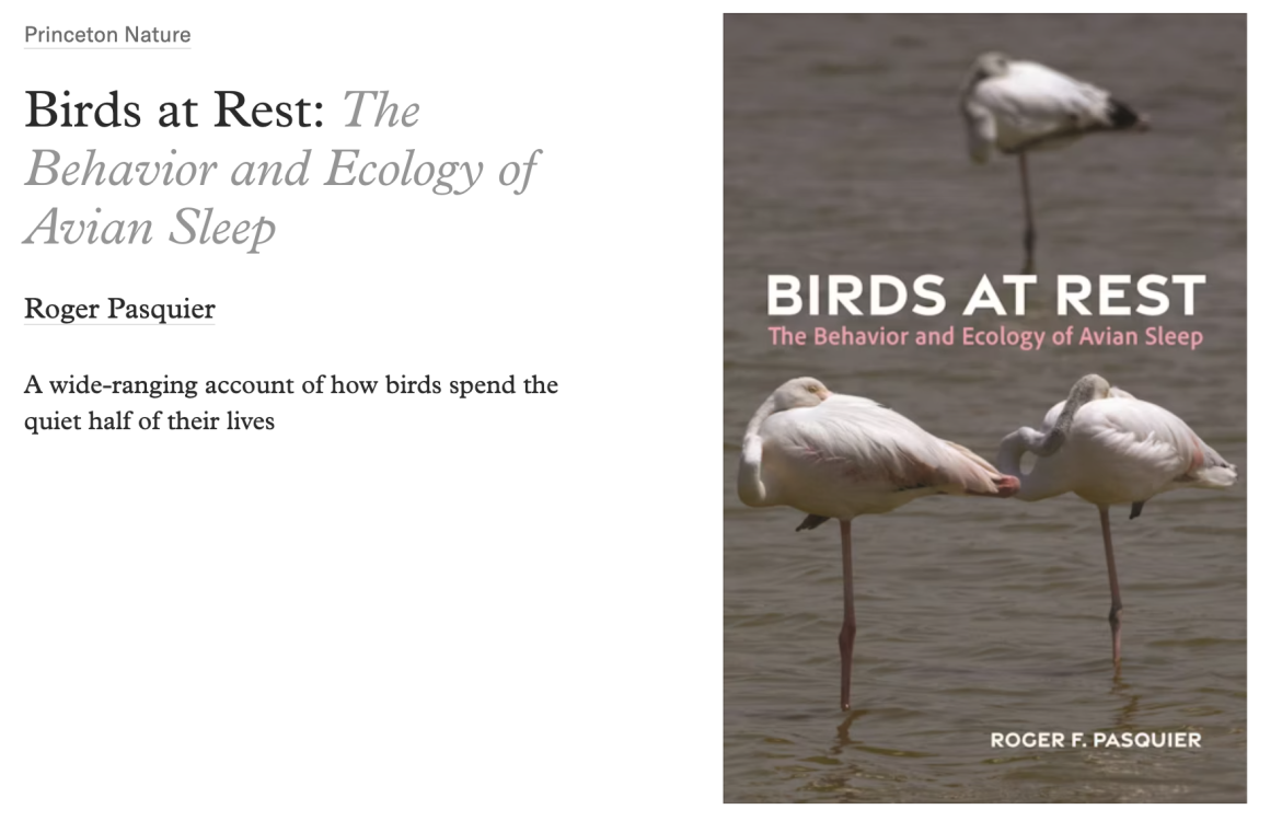 Book Review: "Birds at Rest" - Winter Crow Roost