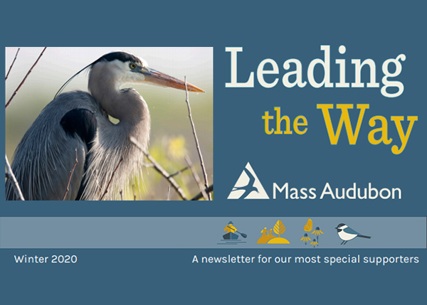 MassAudubon: Crows Connecting a Community - Winter Crow Roost